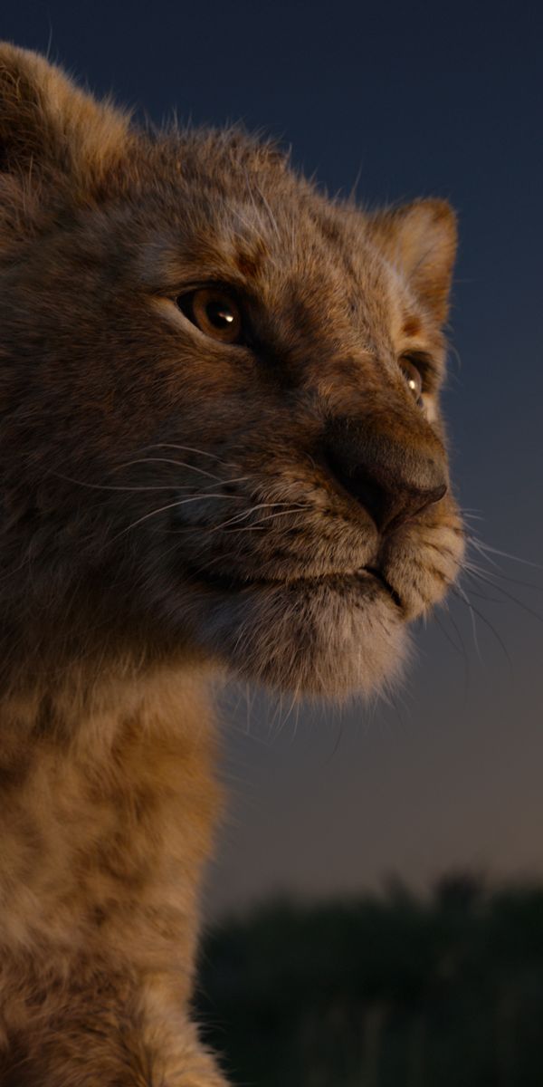 Phone wallpaper: Simba, The Lion King (2019), Movie 951518