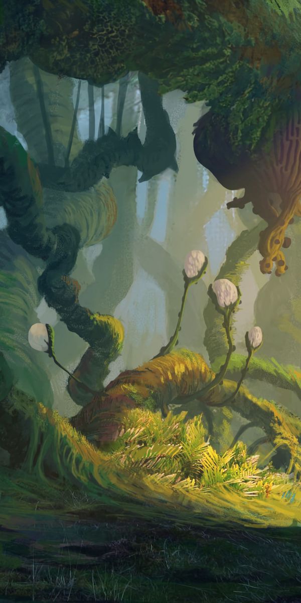 Foreign Phone Wallpapers: Free 4K & HD Downloads | mob.org