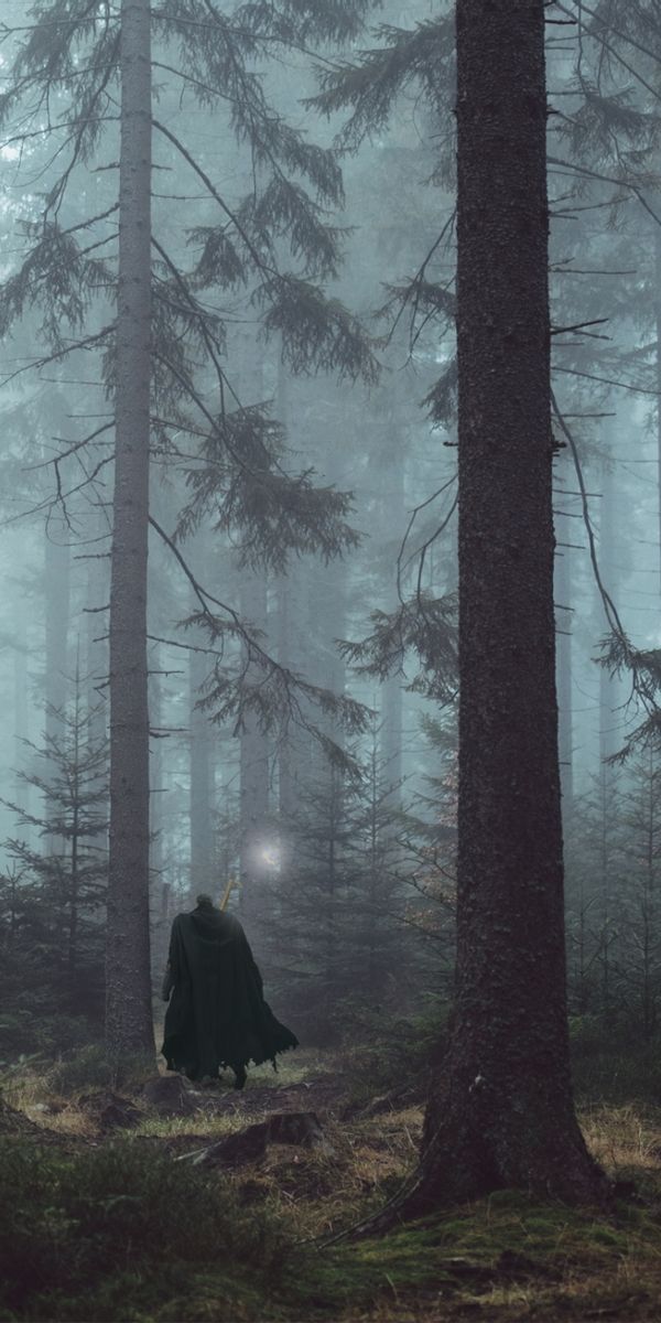 Phone wallpaper: Berserk, Guts (Berserk), Anime, Tree, Forest 1327810