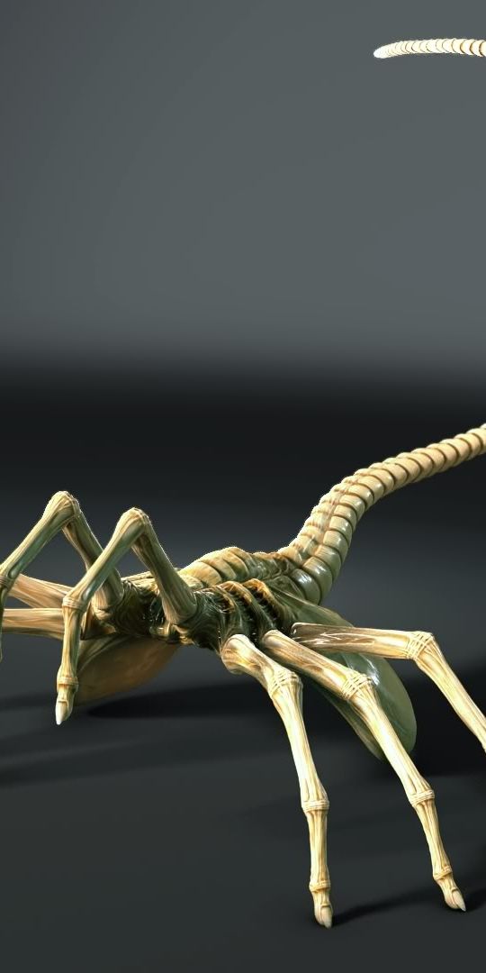 Facehugger Phone Wallpapers: Free 4K & HD Downloads | mob.org