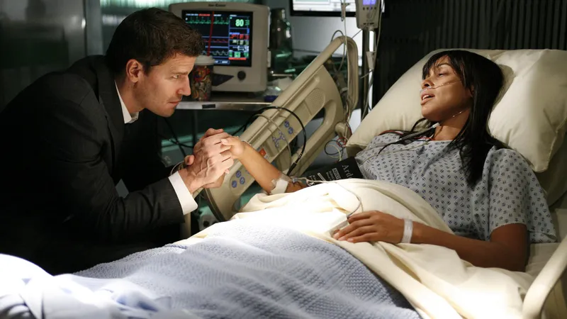 Fond d'écran HD: Séries Tv, Bones, Camille Saroyan, David Boréanaz ...