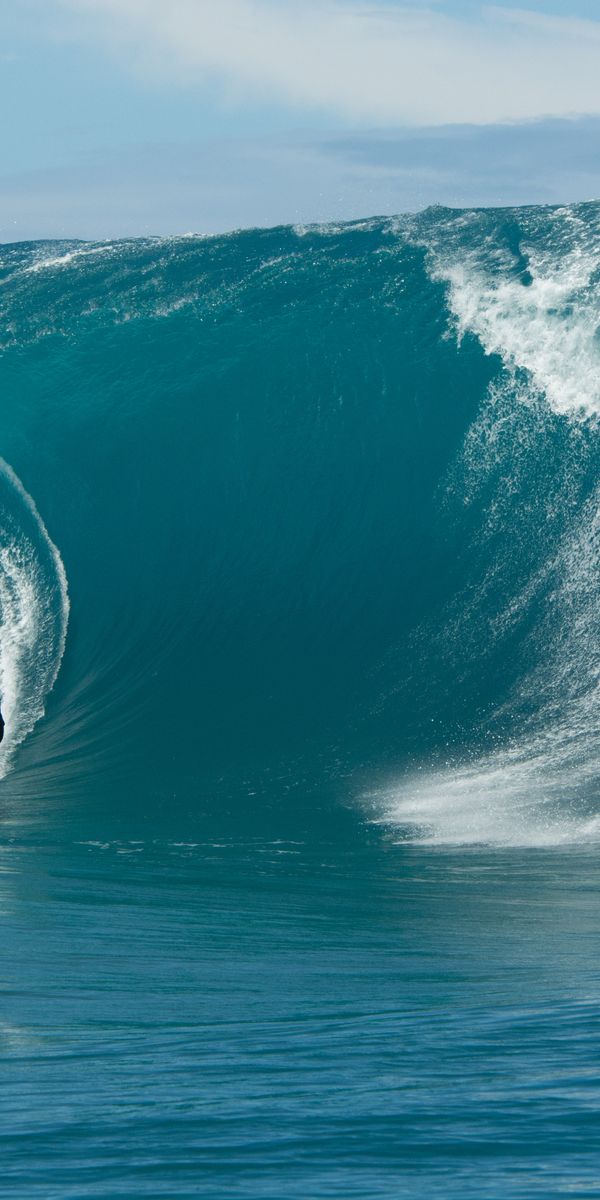 Bodhi (Point Break) Phone Wallpapers: Free 4K & HD Downloads | mob.org
