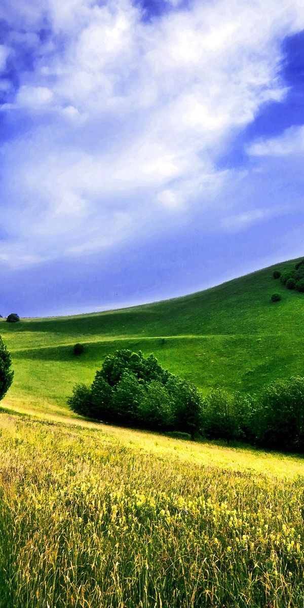 Free Fields 4K Wallpapers & Desktop HD Backgrounds for PC