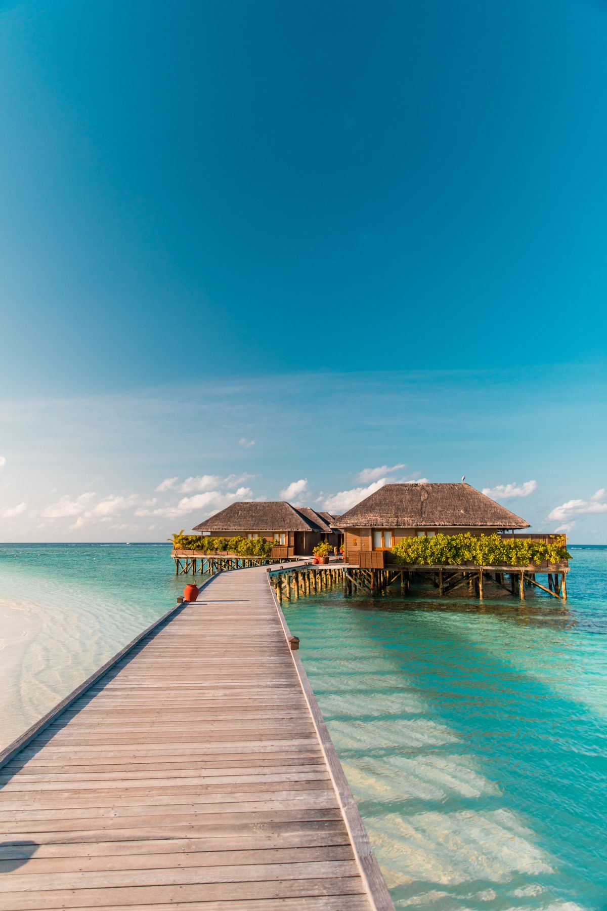 Download "Island" wallpapers for mobile phone, free "Island" HD pictures