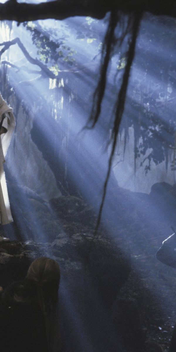 Desktop wallpaper: Gandalf, The Lord Of The Rings, Ian Mckellen, Movie ...