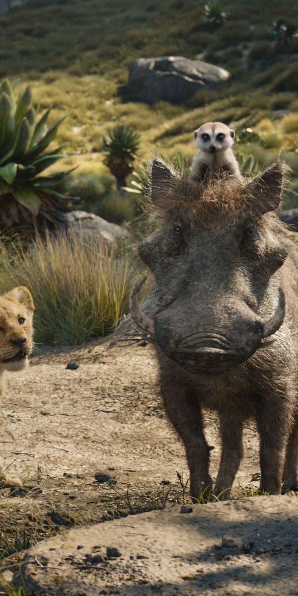 Fond d'écran HD: Pumbaa (Le Roi Lion), Le Roi Lion (2019), Timon (Le ...