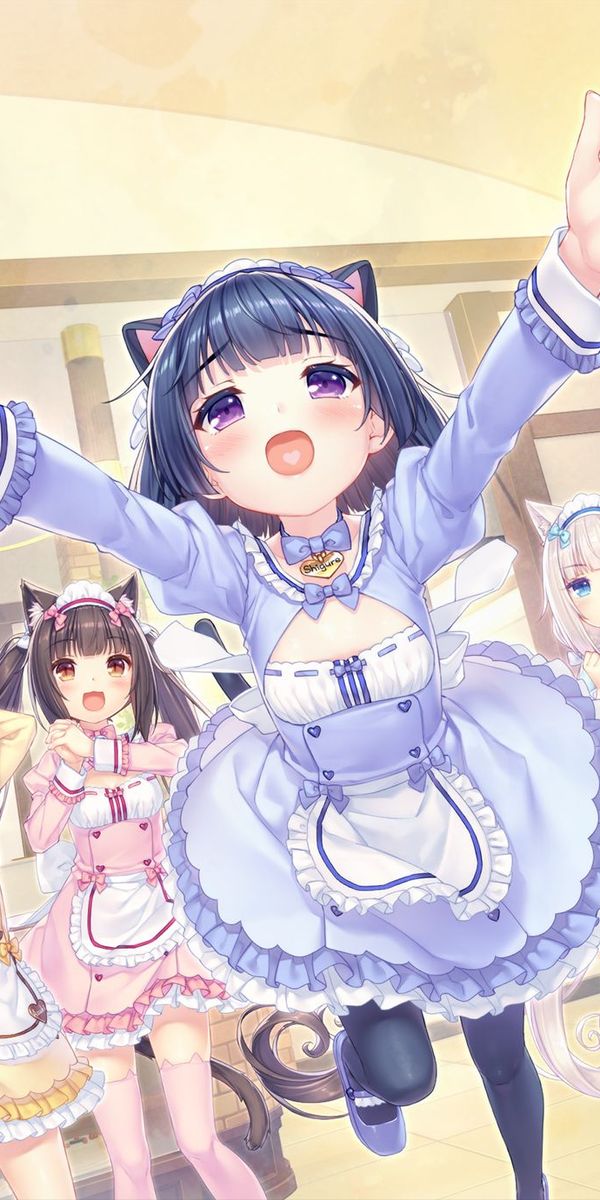Papel de parede HD para desktop: Anime, Nekopara, Chocola (Nekopara ...