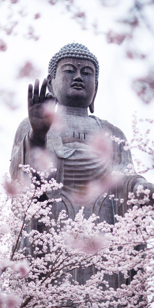 Desktop wallpaper: Buddha, Spring, Religious, Blossom, Statue 4K free ...