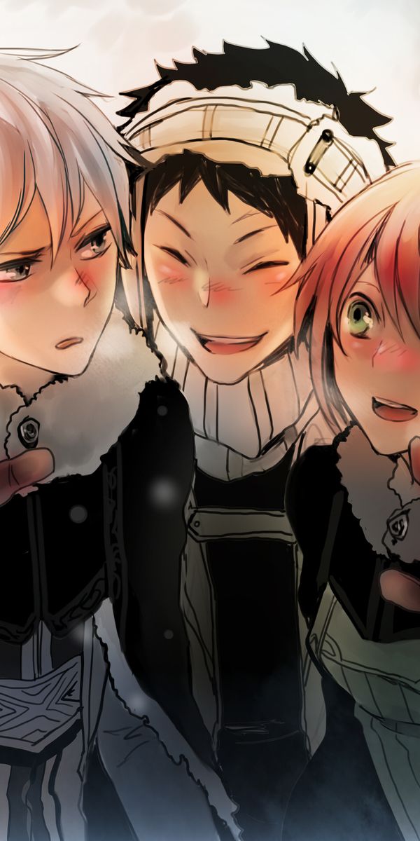 Hintergrundbild für Handys: Animes, Akagami No Shirayukihime, Obi ...