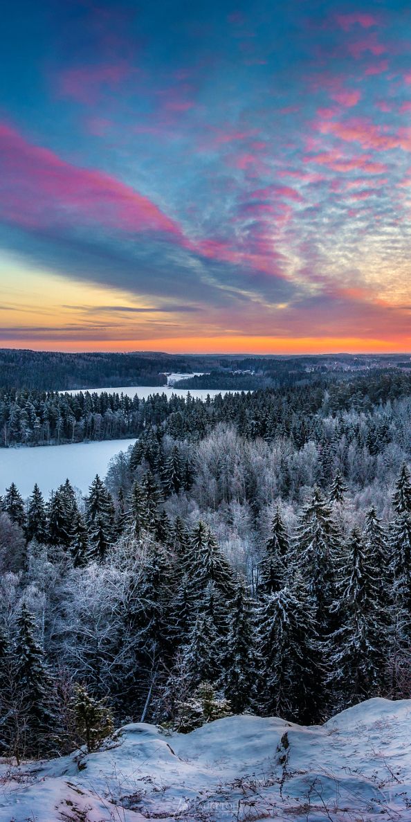 Phone wallpaper: Finland, Nature, Forest, Earth, Landscape, Cloud ...