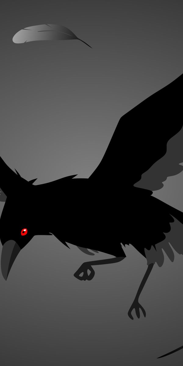 Desktop wallpaper: Crow, Minimalist, Animal, Artistic, Feather, Vector ...