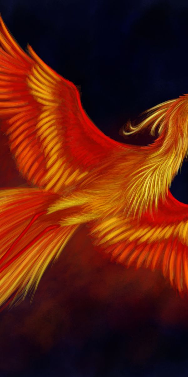 Phone wallpaper: Phoenix, Wings, Fantasy, Bird, Flight, Fantasy Animals ...