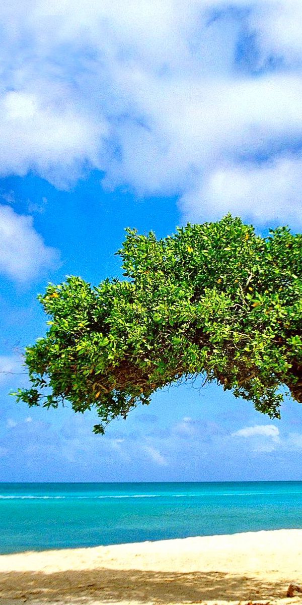 Free Aruba 4K Wallpapers & Desktop HD Backgrounds for PC