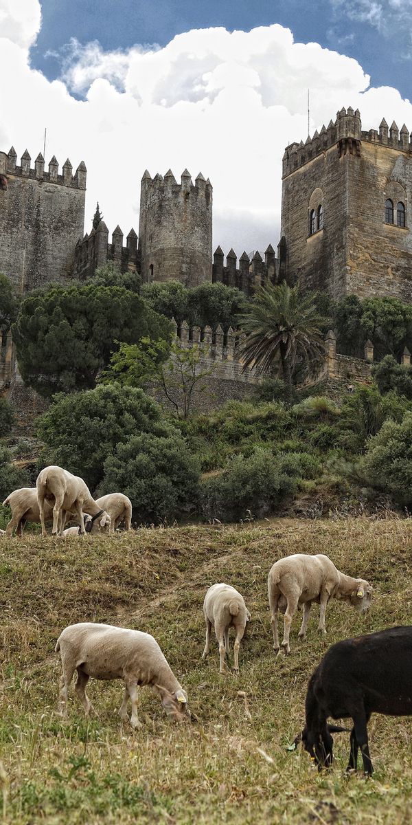 Almodovar Castle Phone Wallpapers: Free 4K & HD Downloads | mob.org