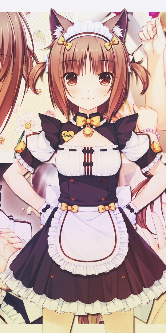 Desktop wallpaper: Azuki (Nekopara), Anime, Nekopara 4K free download ...