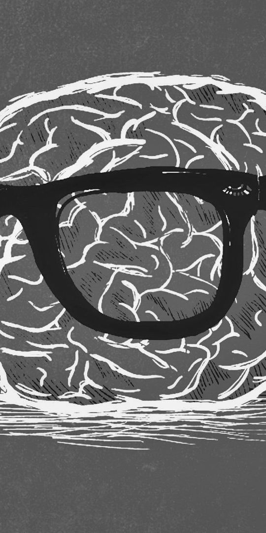 Fond d'écran HD: Bizarre, Cerveau, Humour, Intello télécharger une ...