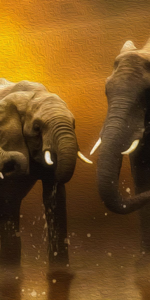 Desktop wallpaper: Animal, African Bush Elephant, Elephants 4K free ...