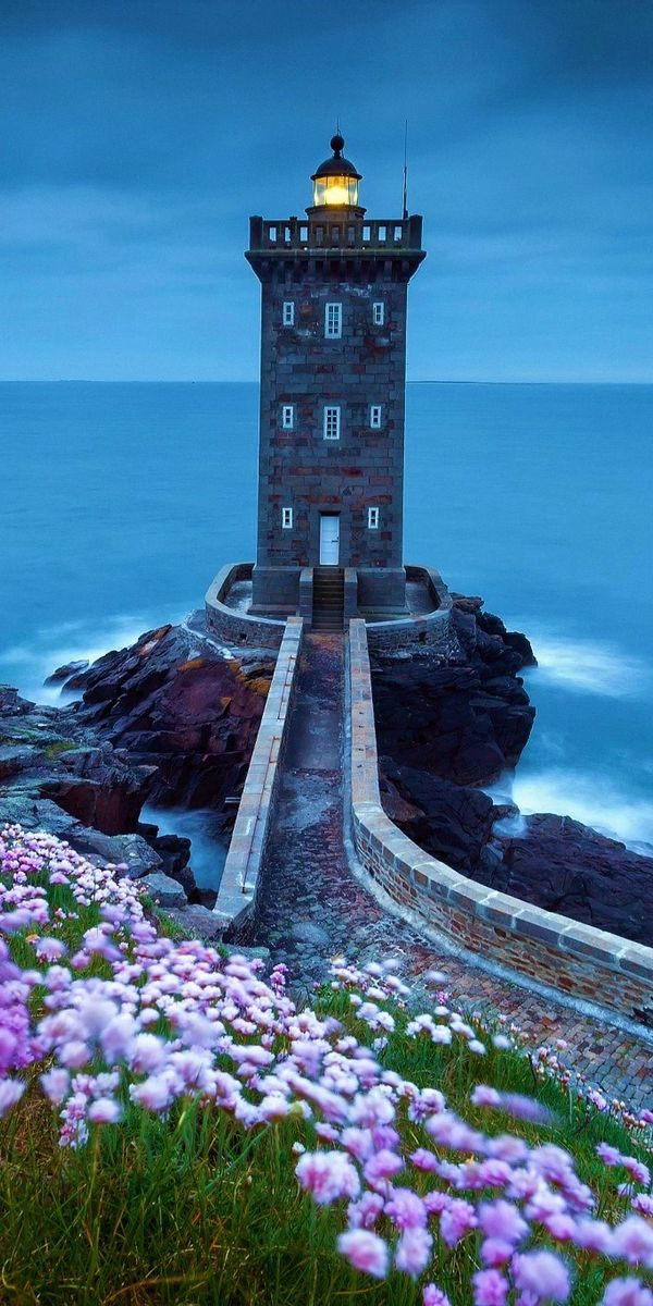 Desktop wallpaper: Walkway, Man Made, Lighthouse, Flower, Horizon ...