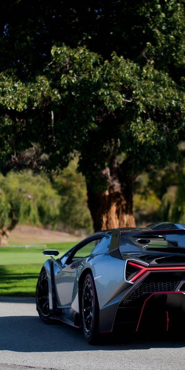 Phone wallpaper: Lamborghini, Supercar, Cars, Back View, Veneno, Rear ...