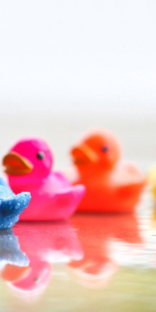 Fondo de pantalla de Patos de PC, gratis para computadora 4K