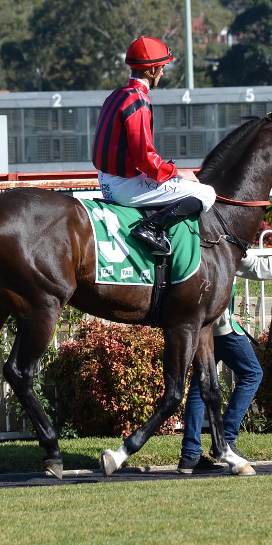 Desktop wallpaper: Sports, Horse Racing, Horse, Jockey, Photography ...
