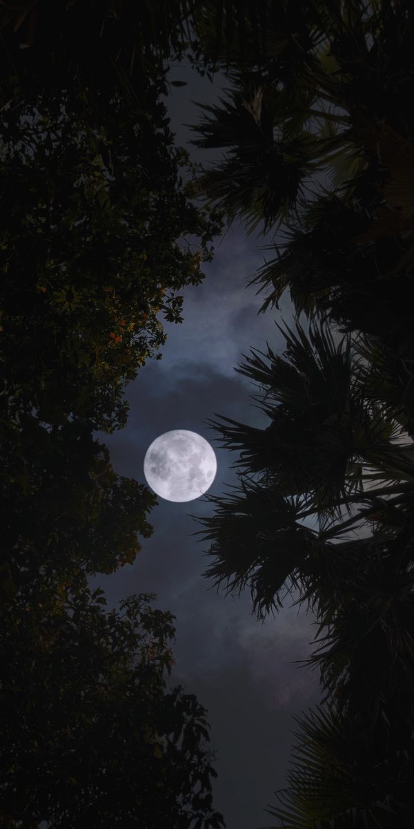 Moon Phone Wallpapers: Free 4K & HD Downloads | mob.org
