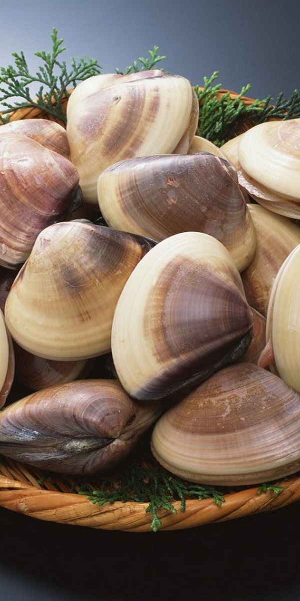 Free Clams 4K Wallpapers & Desktop HD Backgrounds for PC