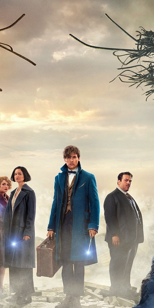 Papel de parede HD para desktop: Filme, Animais Fantásticos E Onde ...