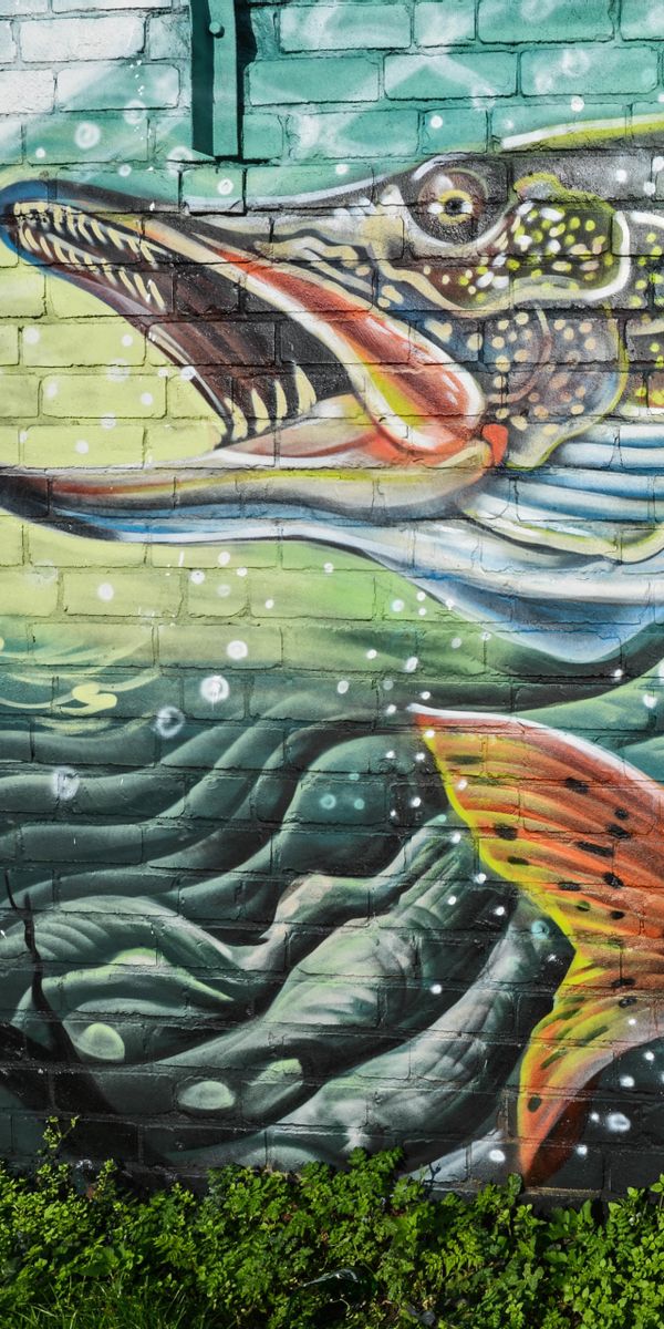 Phone wallpaper: Wall, Artistic, Graffiti, Fish, Brick 1286683