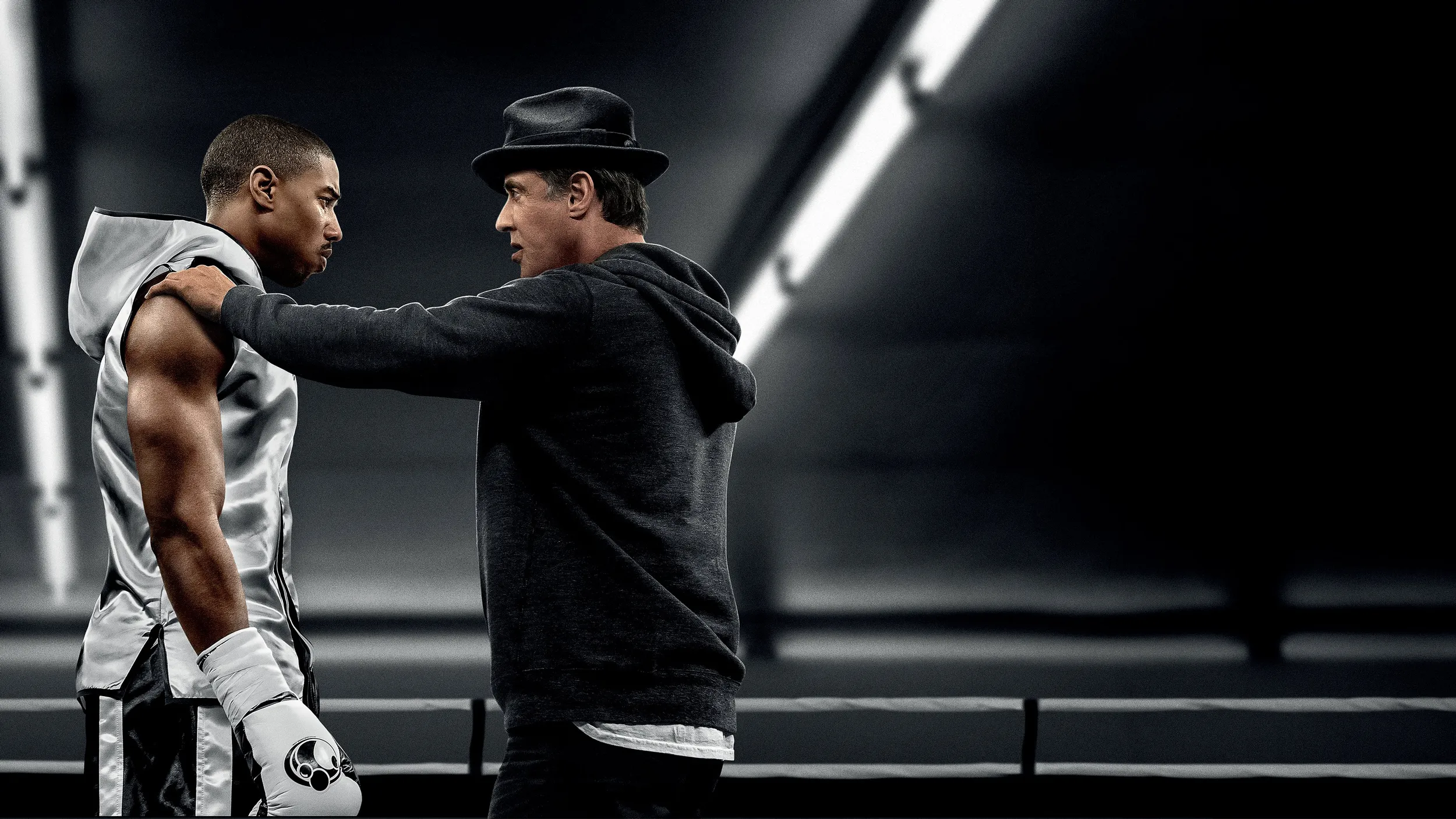Free Boxing 4K Wallpapers & Desktop HD Backgrounds for PC
