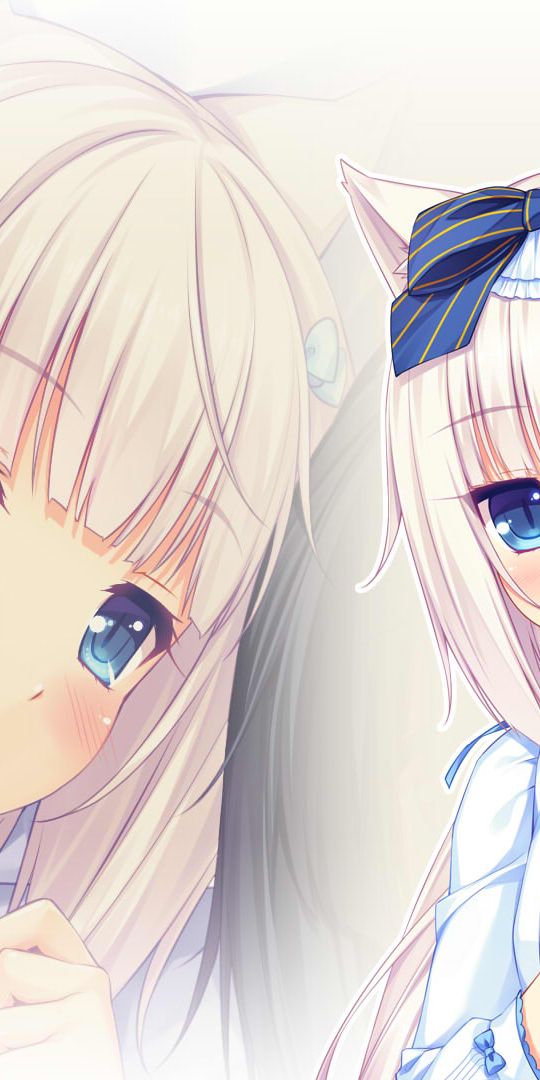Desktop wallpaper: Nekopara, Anime 4K free download for PC. 369710