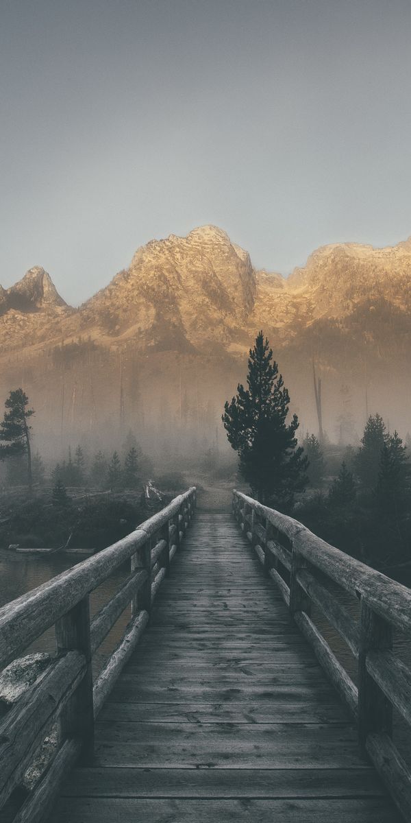 Desktop wallpaper: Mountain, Tree, Bridge, River, Fog, Landscape, Man ...