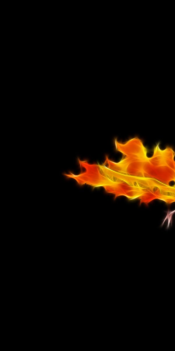 Desktop wallpaper: Moltres (Pokémon), Anime, Pokémon, Fire Pokémon ...