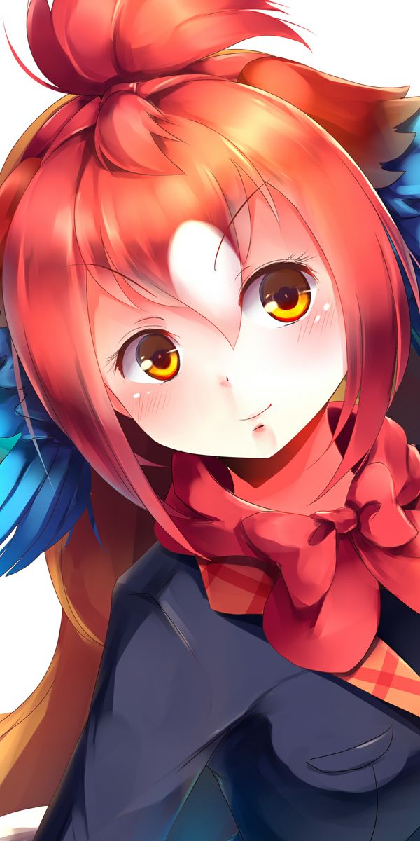 Red Junglefowl (Kemono Friends) Phone Wallpapers: Free 4K & HD ...
