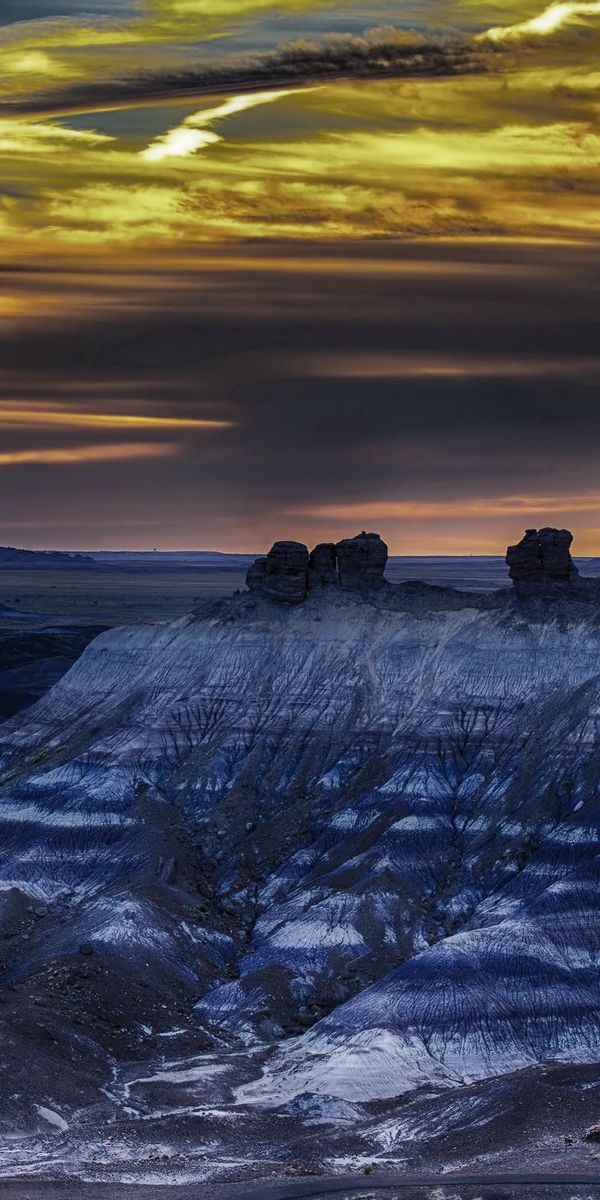 Petrified Forest Phone Wallpapers: Free 4K & HD Downloads | mob.org