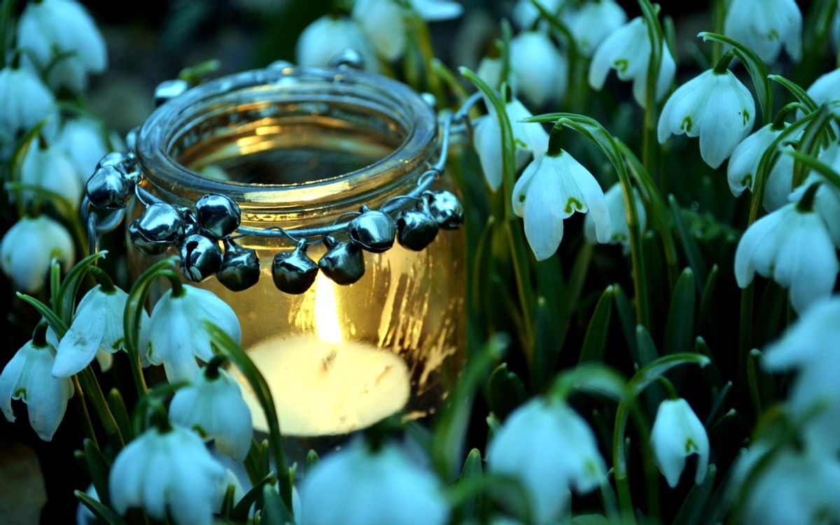 Free Spring 4K Wallpapers & Desktop HD Backgrounds for PC