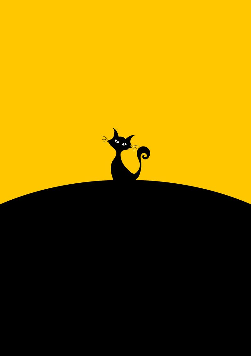 Best phone wallpapers free download, most popular mobile pictures | mob.org
