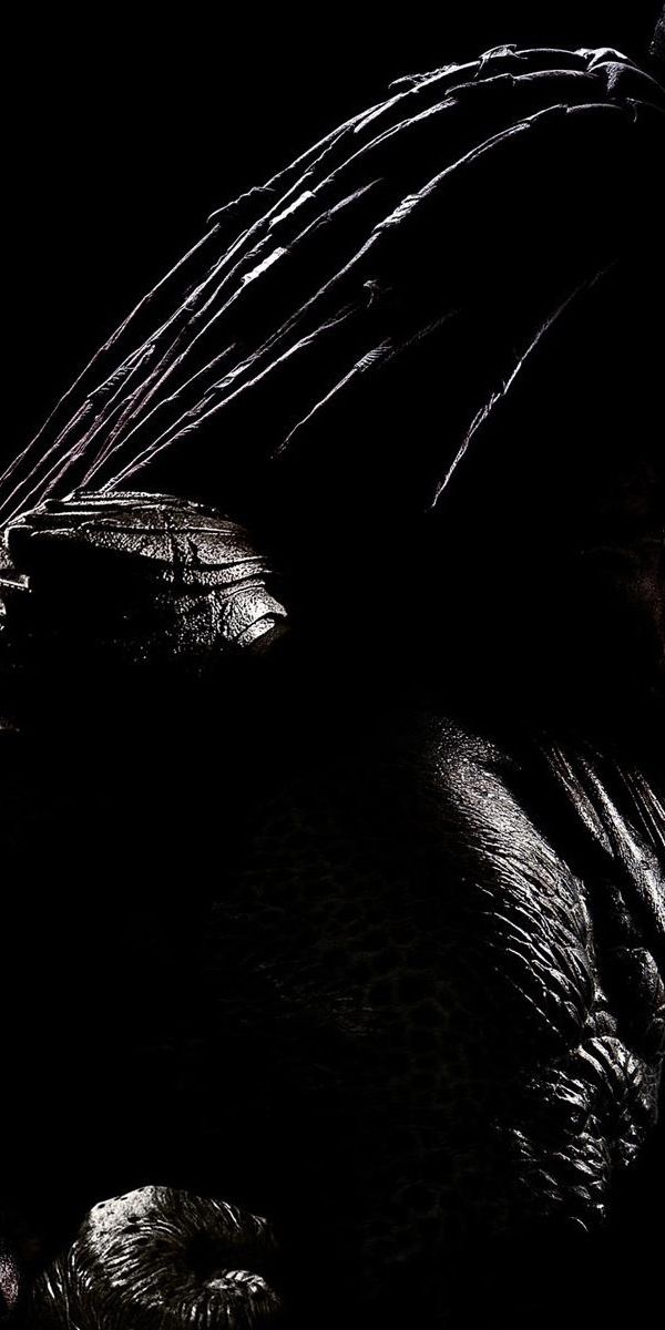 Berserker (Predator) Phone Wallpapers: Free 4K & HD Downloads | mob.org