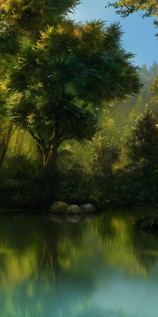 Phone wallpaper: Landscape, Water, Swamp, Forest, Artistic, Thicket 539653