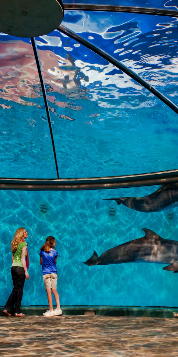 Indianapolis Zoo Phone Wallpapers: Free 4K & HD Downloads | mob.org