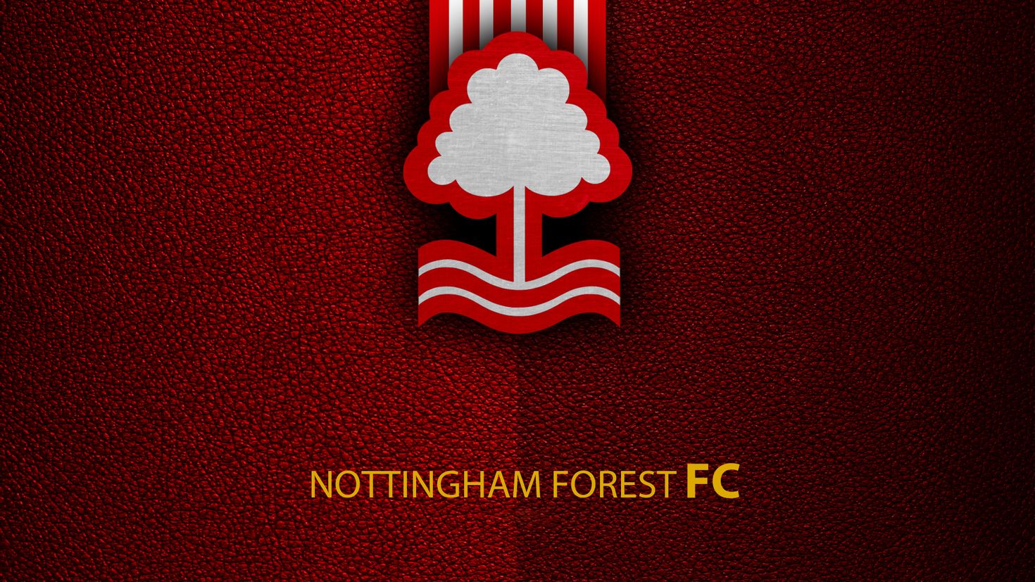 Free Nottingham Forest F C 4K Wallpapers & Desktop HD Backgrounds for PC