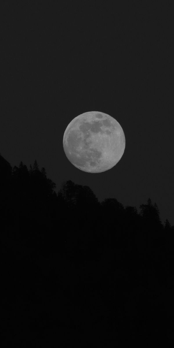 Desktop wallpaper: Moon, Chb, Full Moon, Trees, Dark, Bw 4K free ...