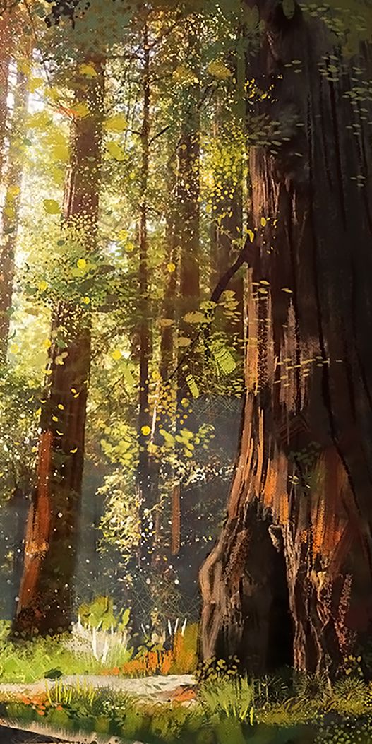 Phone wallpaper: Fantasy, Forest, Tree, Monk, Peace 864670