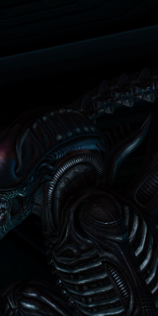 Desktop wallpaper: Movie, Alien, Sci Fi, Xenomorph 4K free download for ...