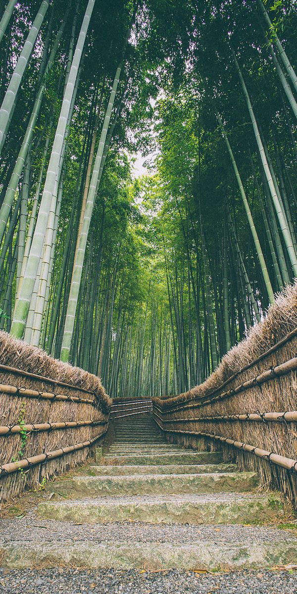 Desktop wallpaper: Bamboo, Japan, Man Made, Path 4K free download for ...
