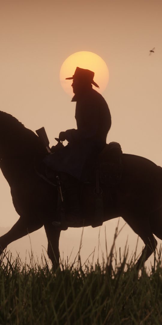 Desktop wallpaper: Red Dead Redemption 2, Horse, Video Game, Red Dead ...