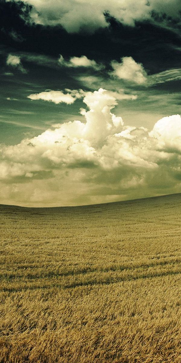 Phone wallpaper: Clock, Surrealism, Art, Big Ben, Fall, Field, Tower 56112