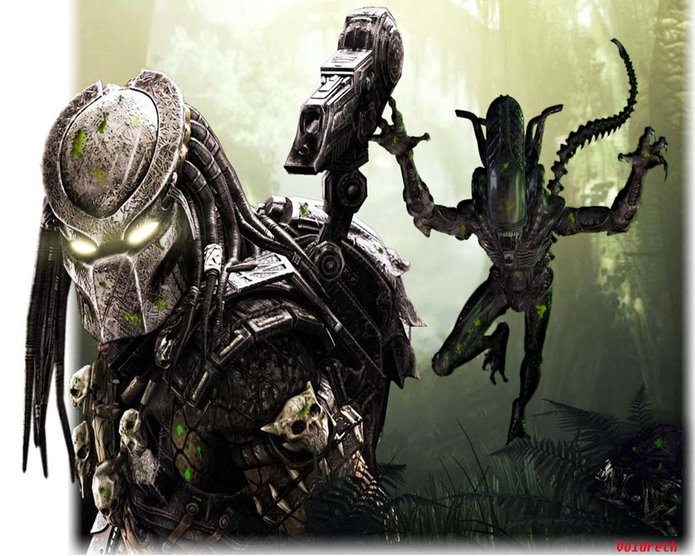 Free Predator 4K Wallpapers & Desktop HD Backgrounds for PC