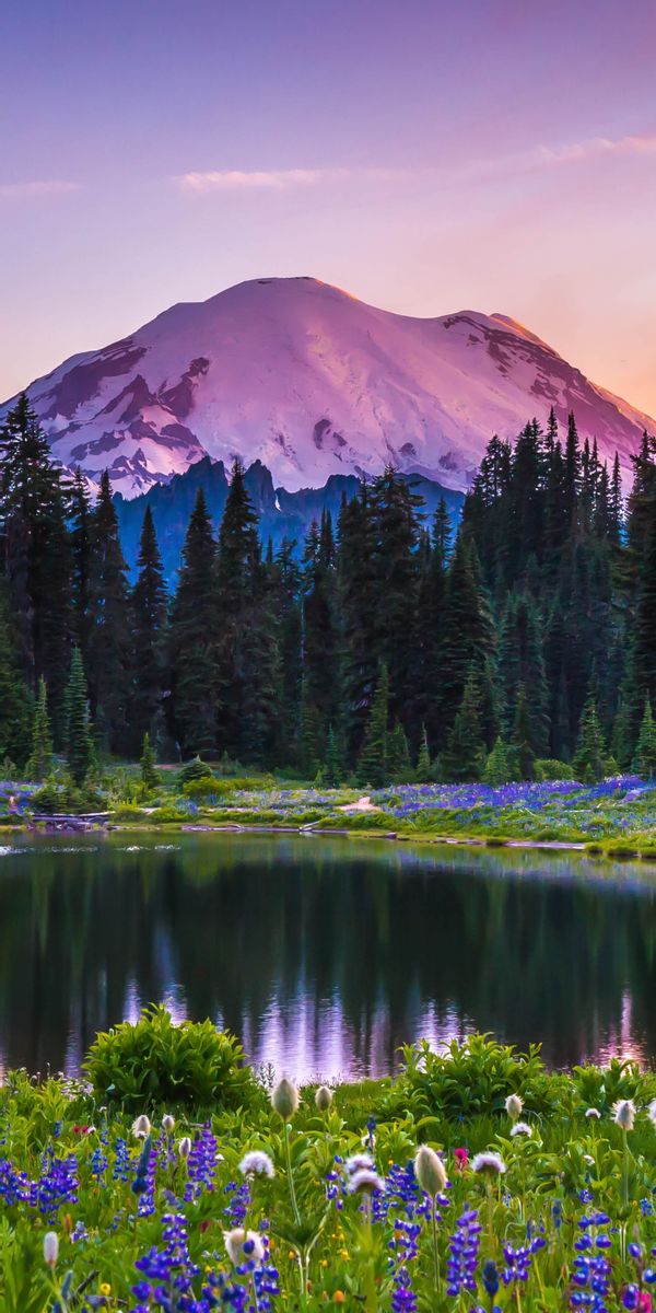 Desktop wallpaper: Mountains, Earth, Mount Rainier, Sunset, National ...