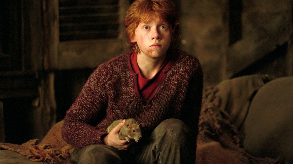 Peter Harry Potter
